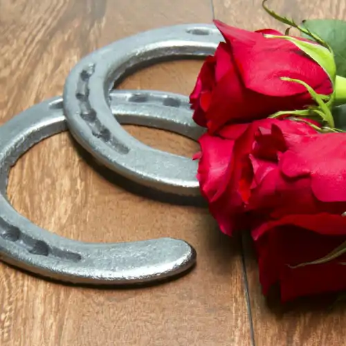 Derby | Brianza Gardens & Winery