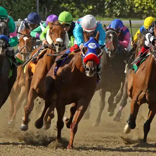 Derby Day | Brianza Gardens & Winery